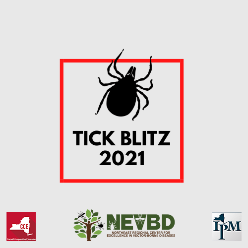 New York State Tick Blitz - NEVBD Citizen Sceince